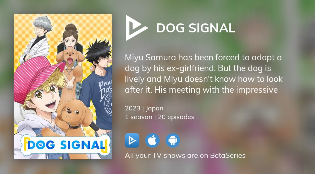 Watch Dog Signal streaming
