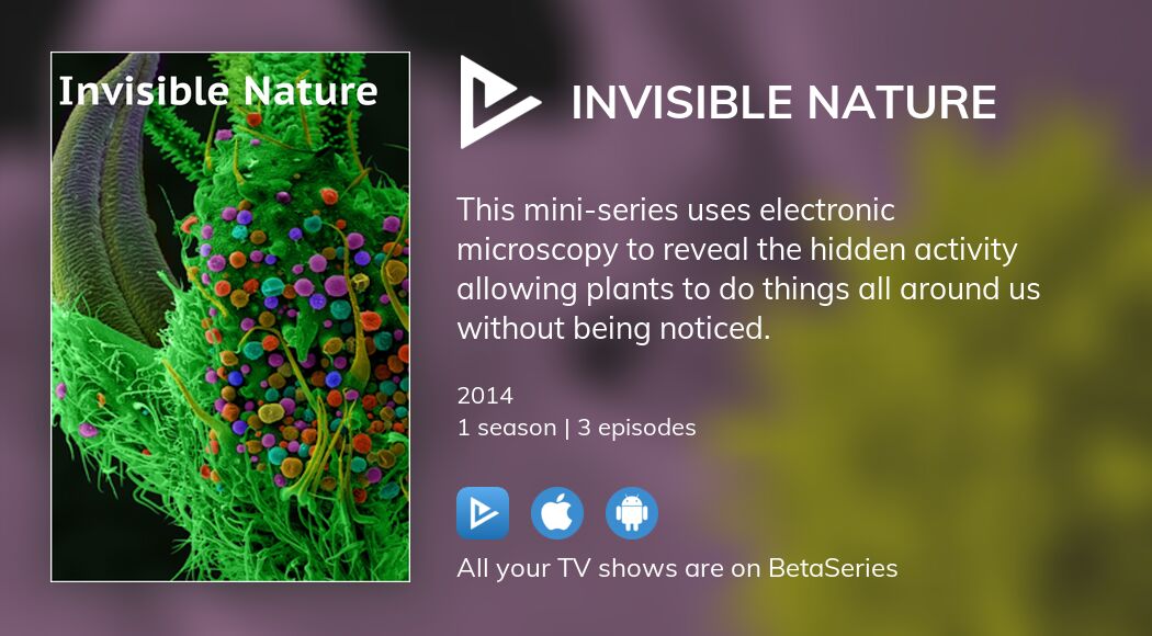 Watch Invisible Nature streaming