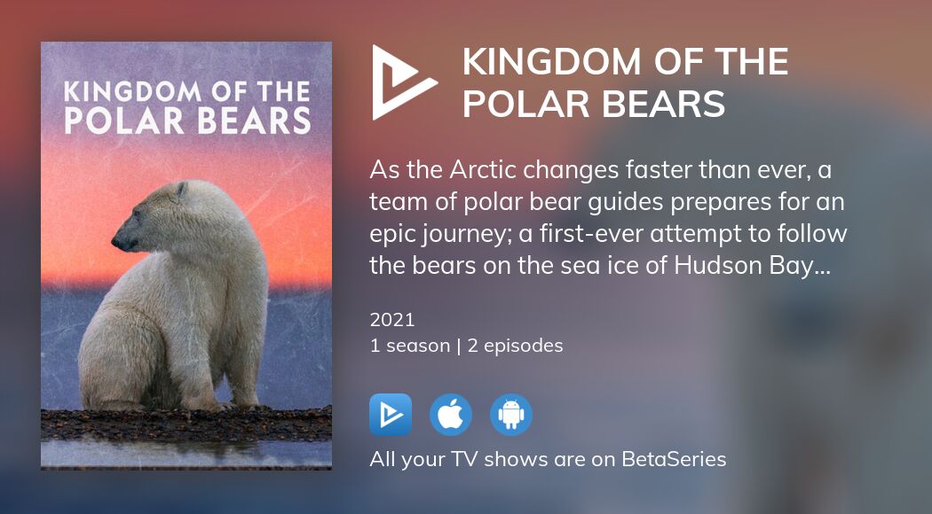 Watch Kingdom of the Polar Bears streaming