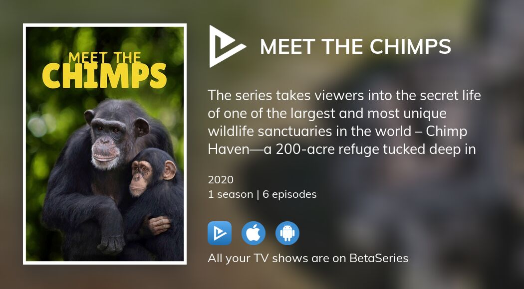 Watch Meet the Chimps streaming
