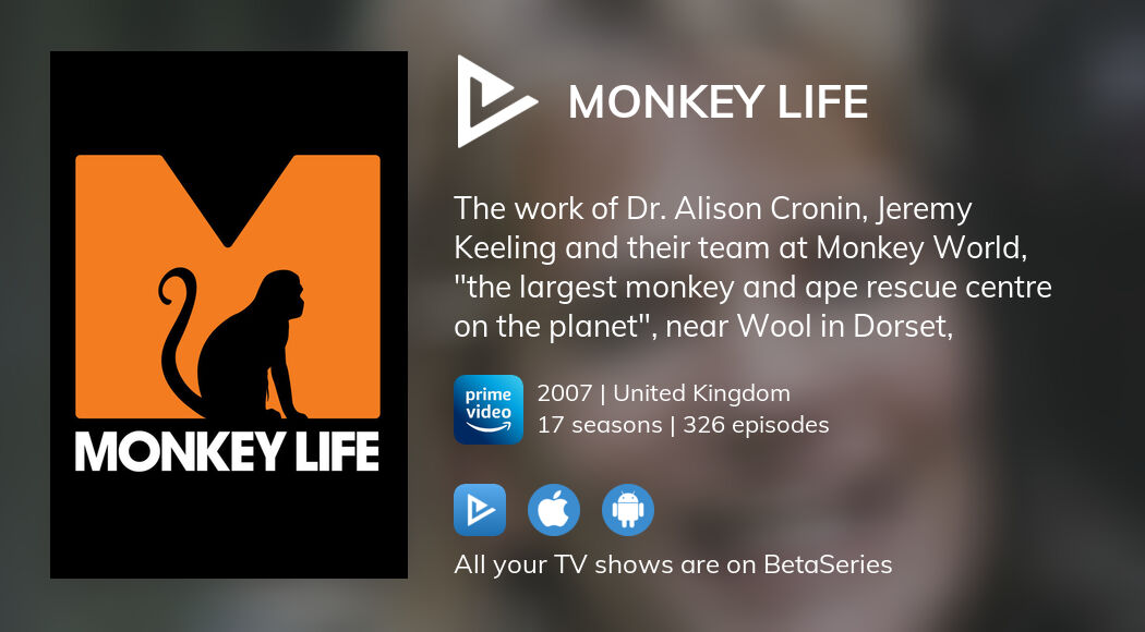 Watch Monkey Life streaming