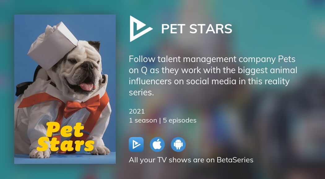 Where to watch Pet Stars TV series streaming online? | BetaSeries.com