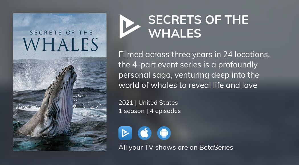 Watch Secrets of the Whales streaming