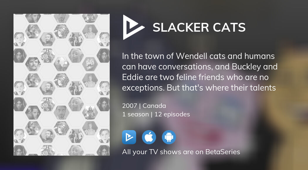 Watch Slacker Cats streaming