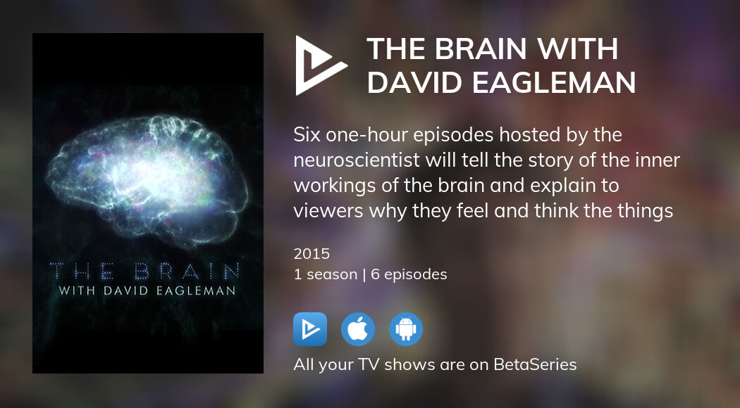 Where to watch The Brain with David Eagleman TV series streaming online ...