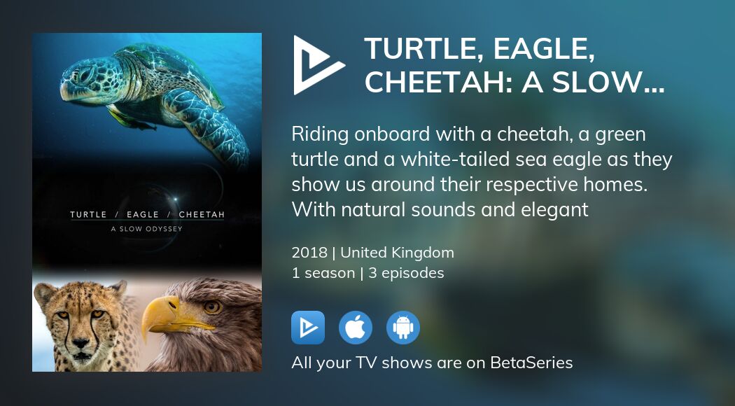 Watch Turtle, Eagle, Cheetah: A Slow Odyssey streaming