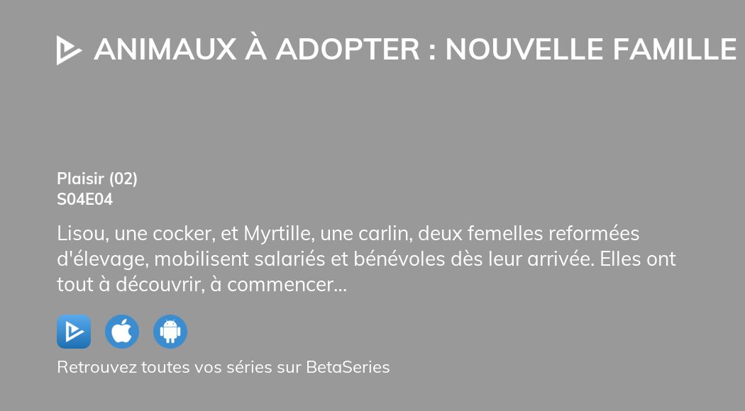 Où regarder Animaux à adopter : Nouvelle famille pour une nouvelle vie saison 4 épisode 4 en ...