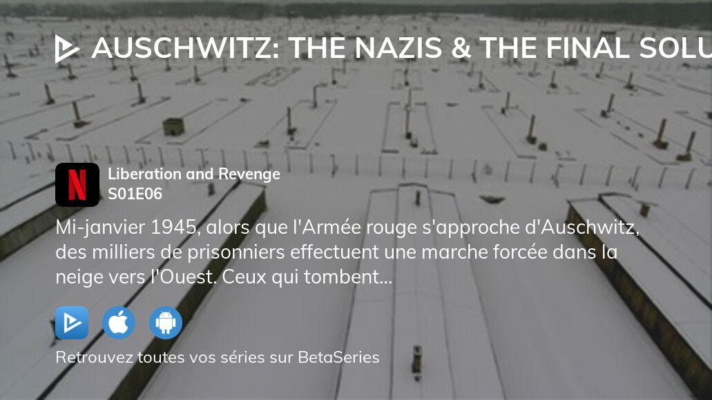 Regarder Auschwitz : La solution finale saison 1 épisode 6 en streaming ...