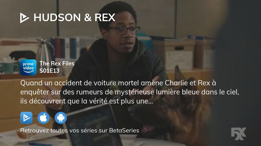 Regarder Hudson & Rex saison 1 épisode 13 streaming complet | BetaSeries.com