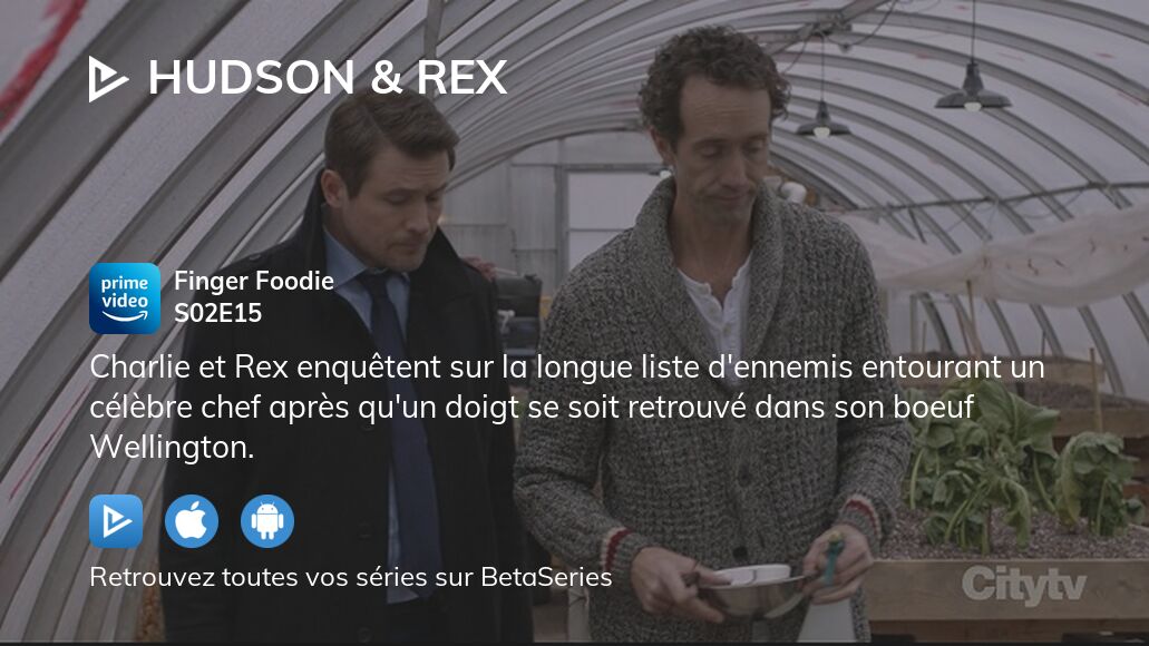 Regarder Hudson & Rex saison 2 épisode 15 streaming complet