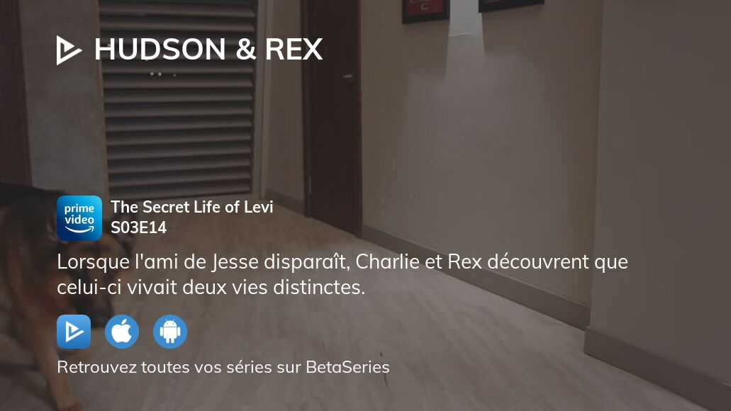 Regarder Hudson & Rex saison 3 épisode 14 streaming complet