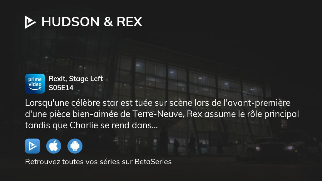 Regarder Hudson & Rex saison 5 épisode 14 streaming complet