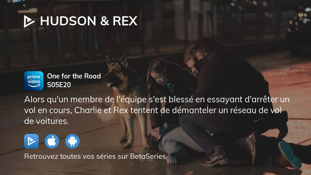 Regarder Hudson & Rex saison 5 épisode 20 streaming complet