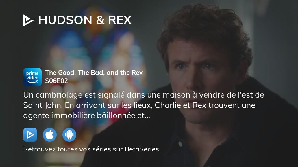 Regarder Hudson & Rex saison 6 épisode 2 streaming complet