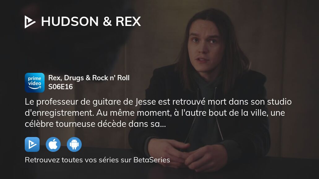 Regarder Hudson & Rex saison 6 épisode 16 streaming complet