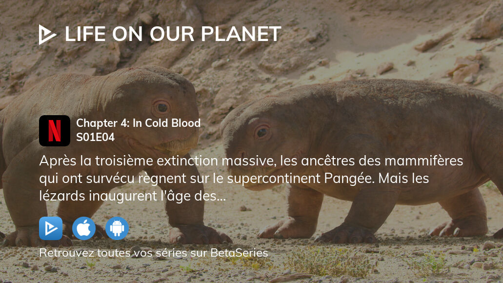 Regarder Life on Our Planet saison 1 épisode 4 streaming complet