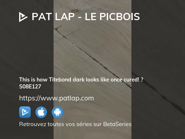 Regarder Pat Lap - Le PicBois saison 8 épisode 127 streaming complet