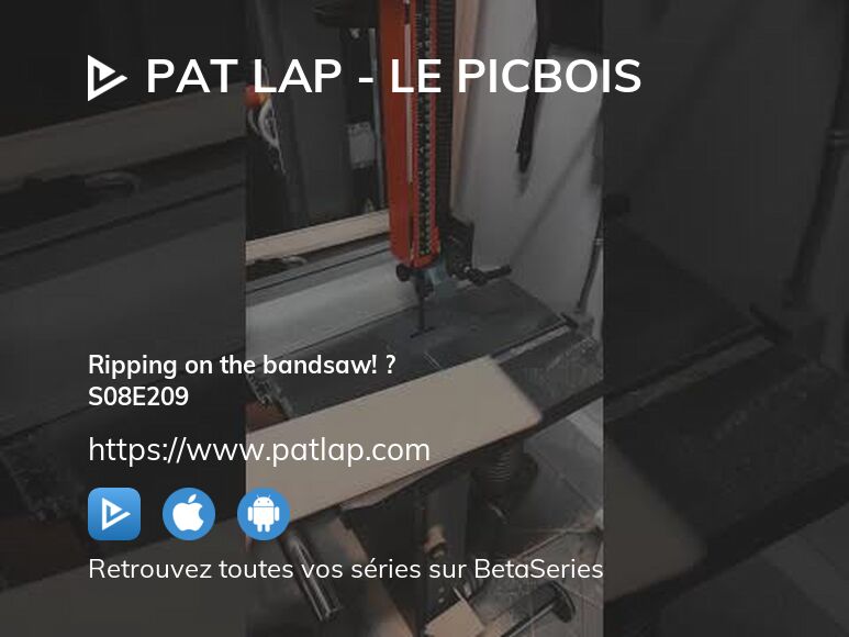 Regarder Pat Lap - Le PicBois saison 8 épisode 209 streaming complet