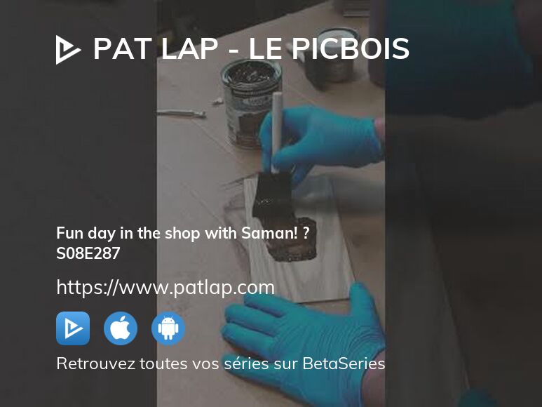 Regarder Pat Lap - Le PicBois saison 8 épisode 287 streaming complet