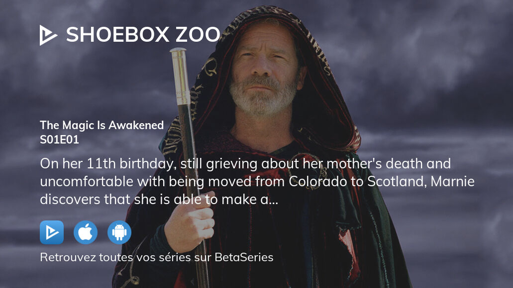 Où regarder Shoebox Zoo saison 1 épisode 1 en streaming complet ...