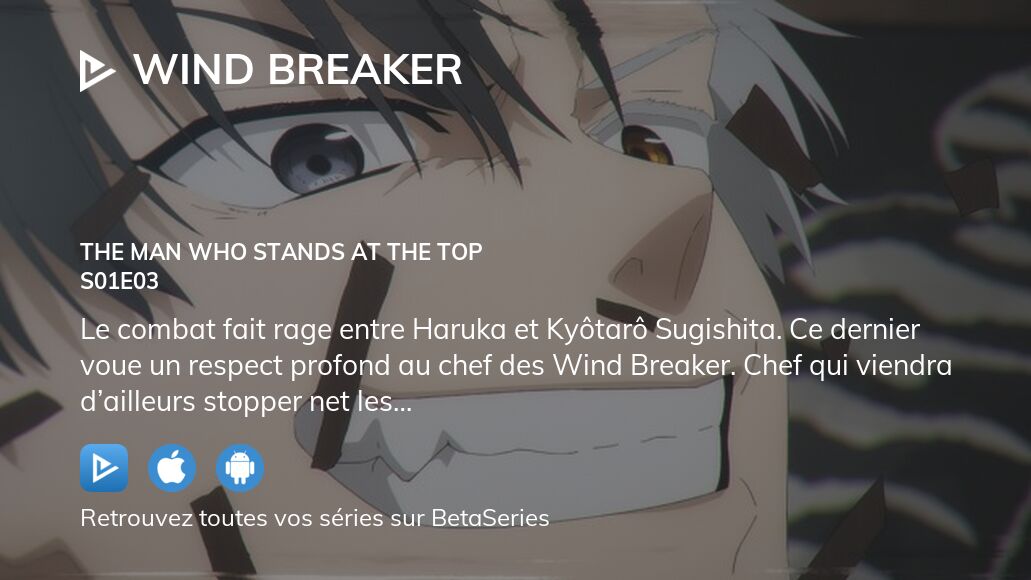 Regarder WIND BREAKER saison 1 épisode 3 streaming complet