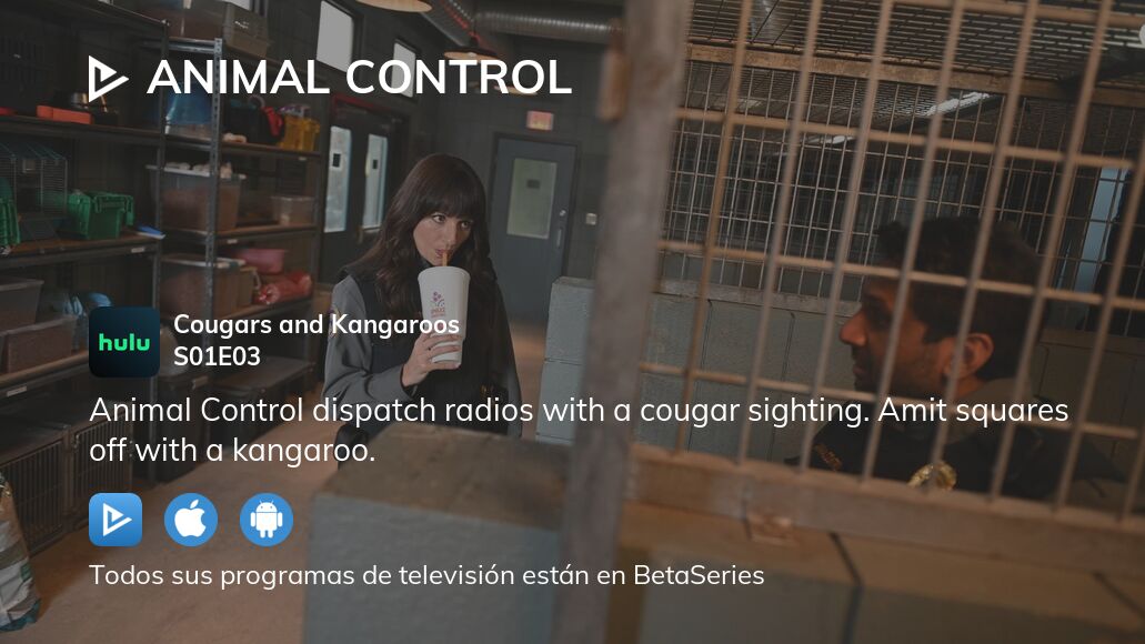 Ver Animal Control temporada 1 episodio 3 streaming