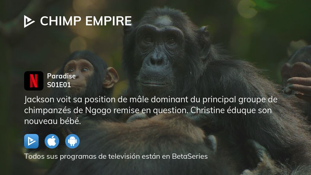 Ver Chimp Empire temporada 1 episodio 1 streaming
