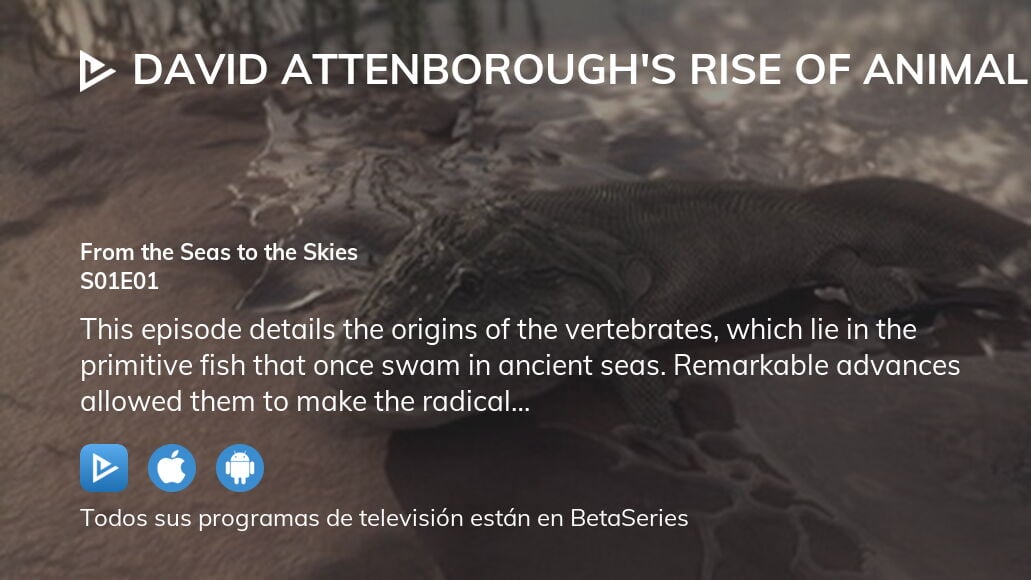 Ver David Attenborough's Rise of Animals: Triumph of the Vertebrates ...