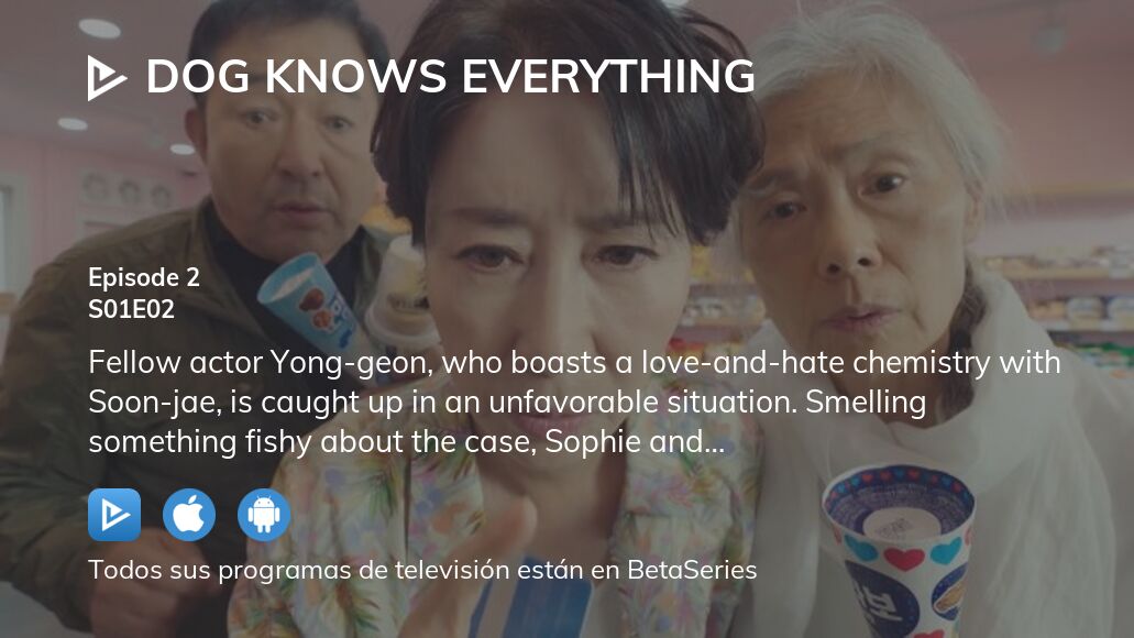Ver Dog Knows Everything temporada 1 episodio 2 streaming