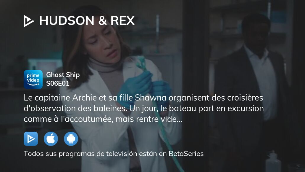 Ver Hudson & Rex temporada 6 episodio 1 streaming