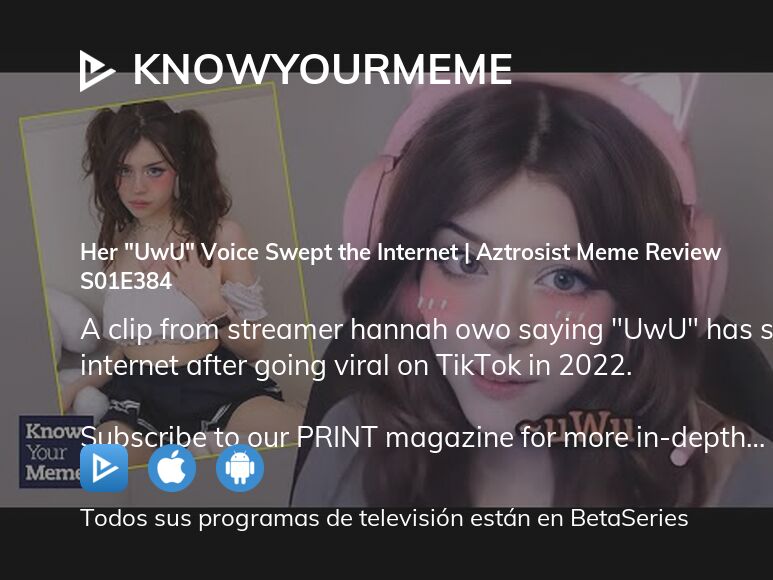 Ver KnowYourMeme temporada 1 episodio 384 streaming | BetaSeries.com