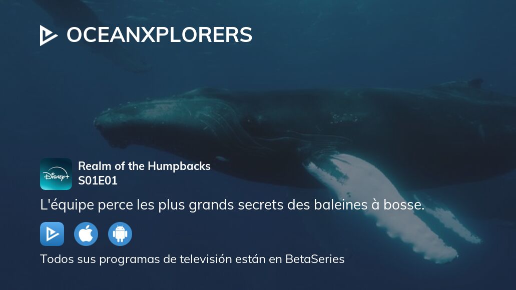 Video : Ver OceanXplorers temporada 1 episodio 1 en streaming completo