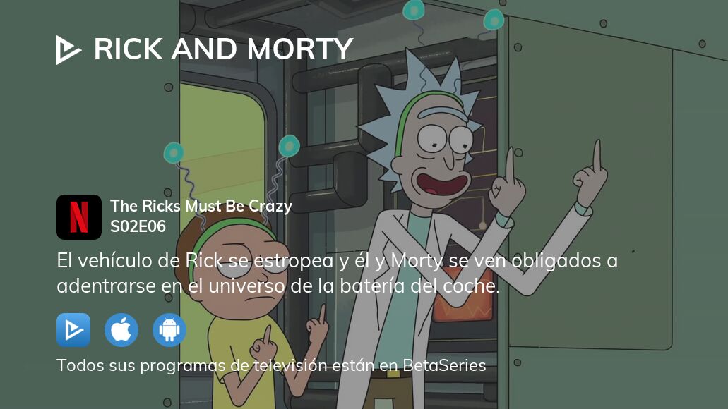 Ver Rick and Morty temporada 2 episodio 6 streaming