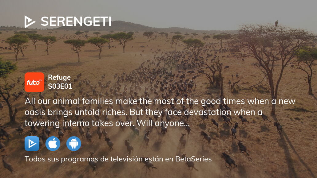 Ver Serengeti temporada 3 episodio 1 streaming