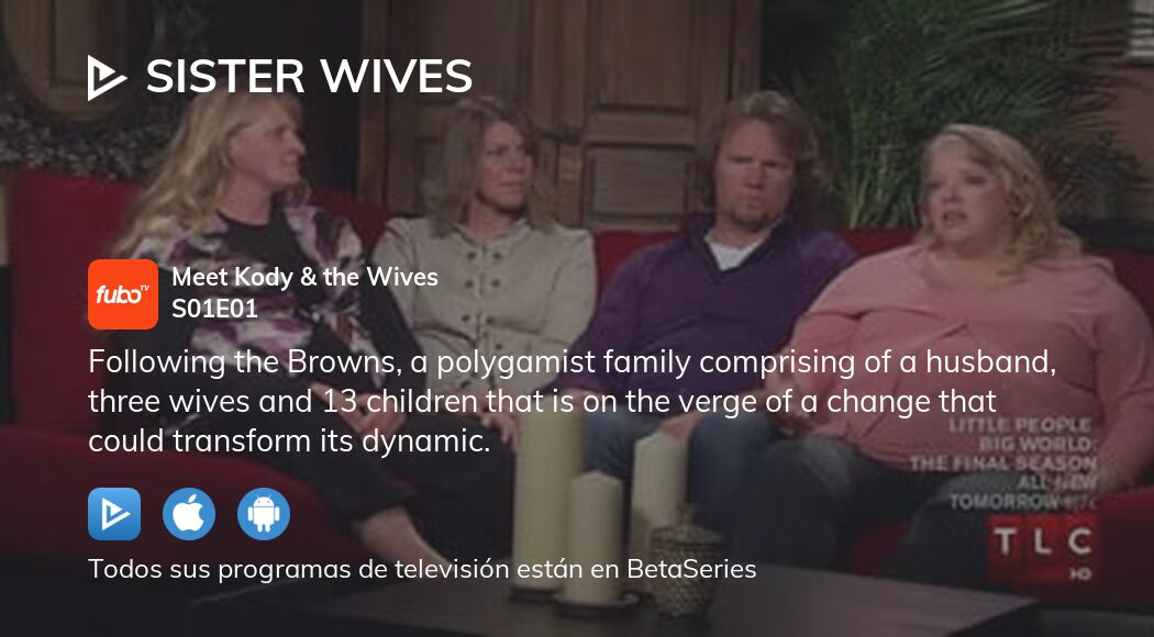 Ver Un marido para cuatro esposas temporada 1 episodio 1 streaming