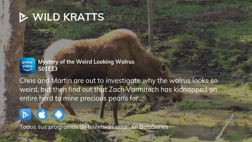 Video : Ver Wild Kratts temporada 1 episodio 13 en streaming completo