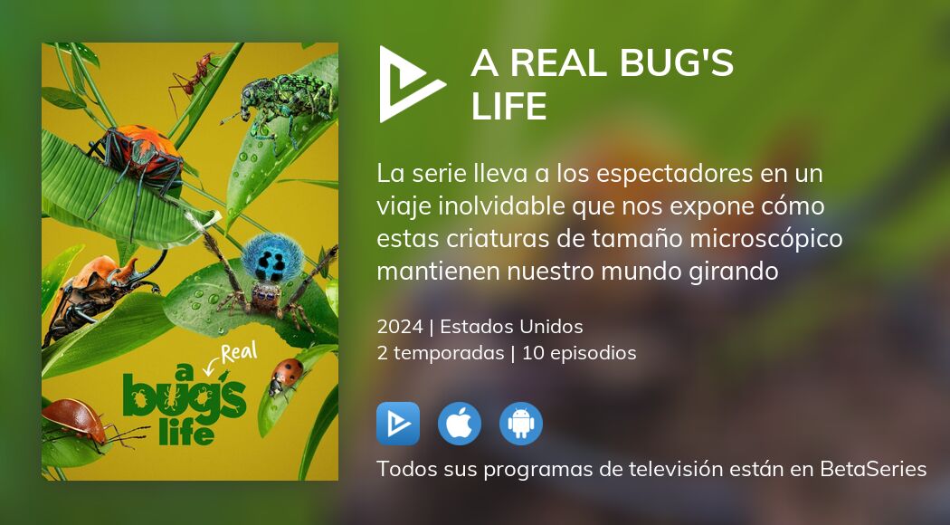 Ver A Real Bug's Life en streaming