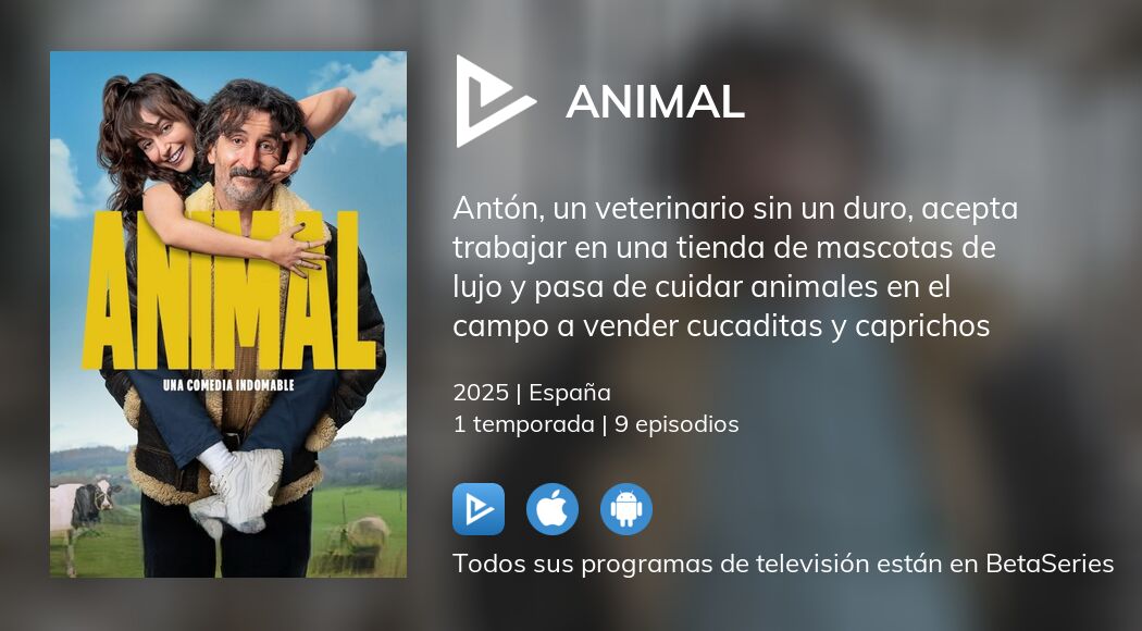 Ver Animal en streaming