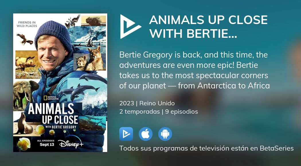 Ver Animals Up Close with Bertie Gregory en streaming