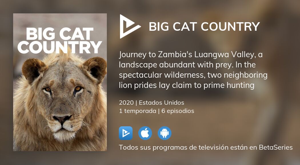 Ver Big Cat Country en streaming