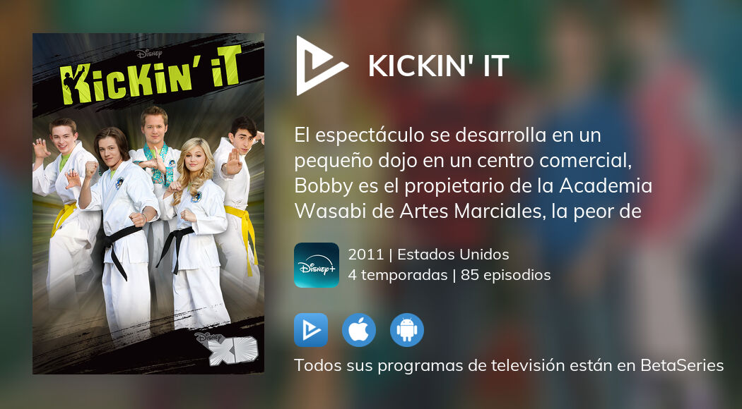 Ver Kickin' It en streaming