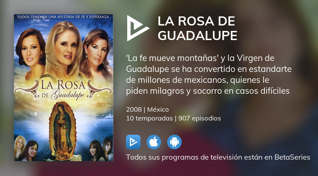 Ver La Rosa de Guadalupe en streaming
