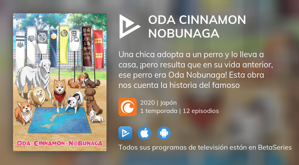 Ver Oda Cinnamon Nobunaga en streaming