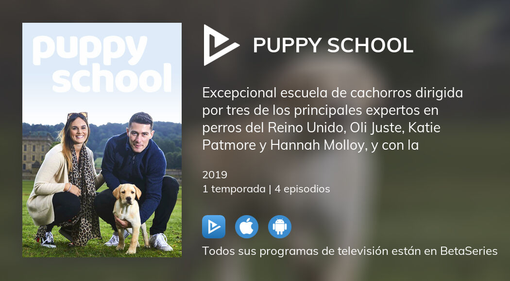 Ver Puppy School en streaming