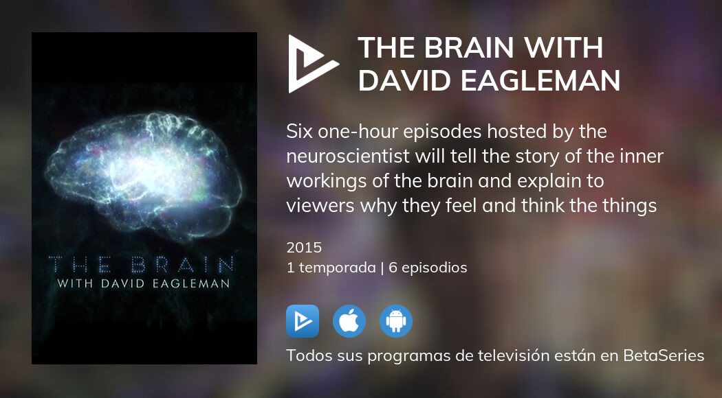 Ver The Brain with David Eagleman en streaming