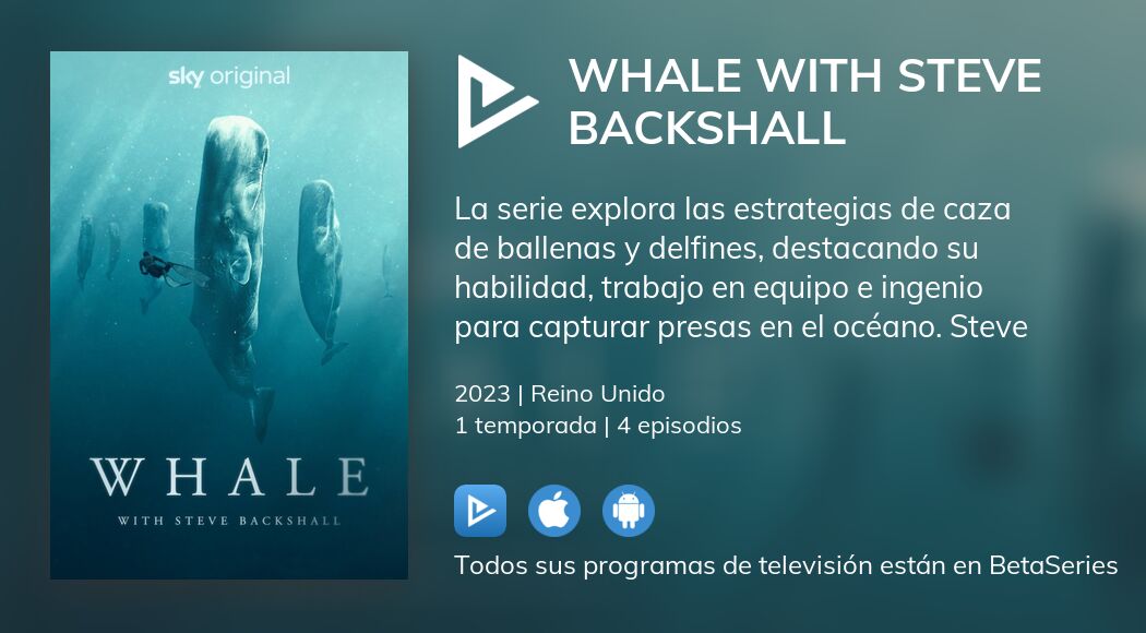 Ver Whale with Steve Backshall en streaming