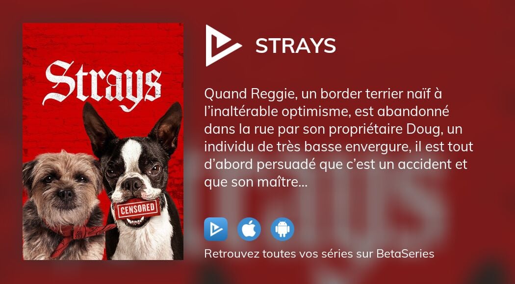 Regarder Strays streaming