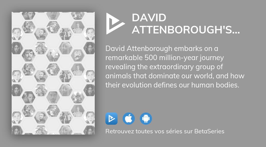Regarder David Attenborough's Rise of Animals: Triumph of the ...