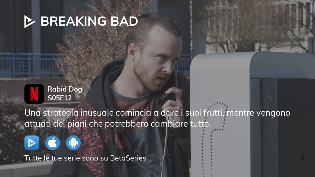Guarda Breaking Bad stagione 5 episodio 12 streaming