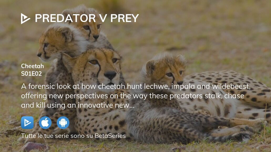 Guarda Predator v Prey stagione 1 episodio 2 streaming